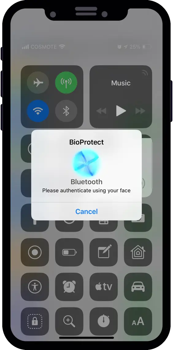 BioProtect XS Tweak: Protect iOS Apps With FaceID / TouchID on iOS 12 ...